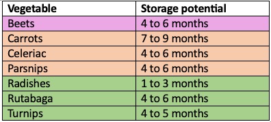 How to Refrigerator-Store Root Vegetables For Months!